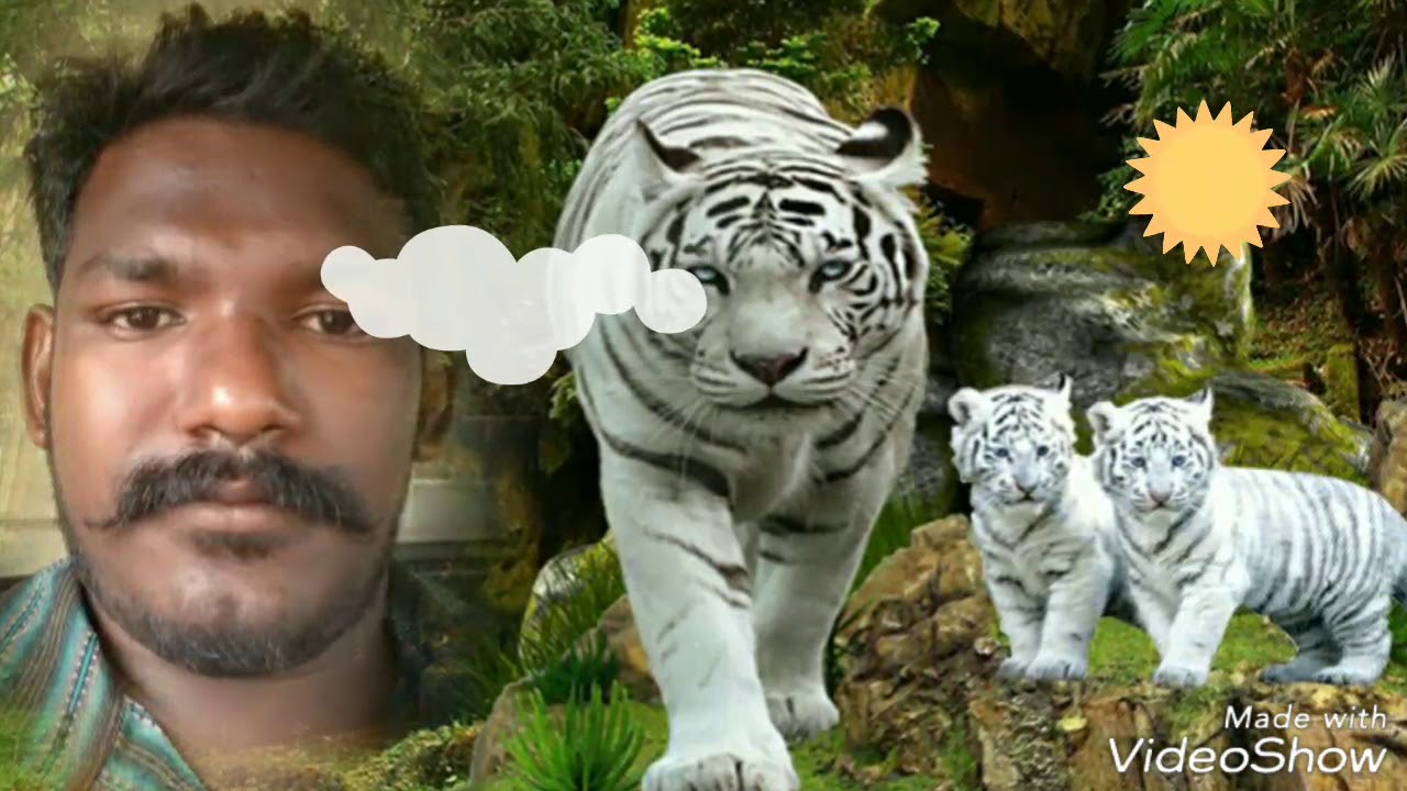 Saravanan Mohan Dindigul - YouTube