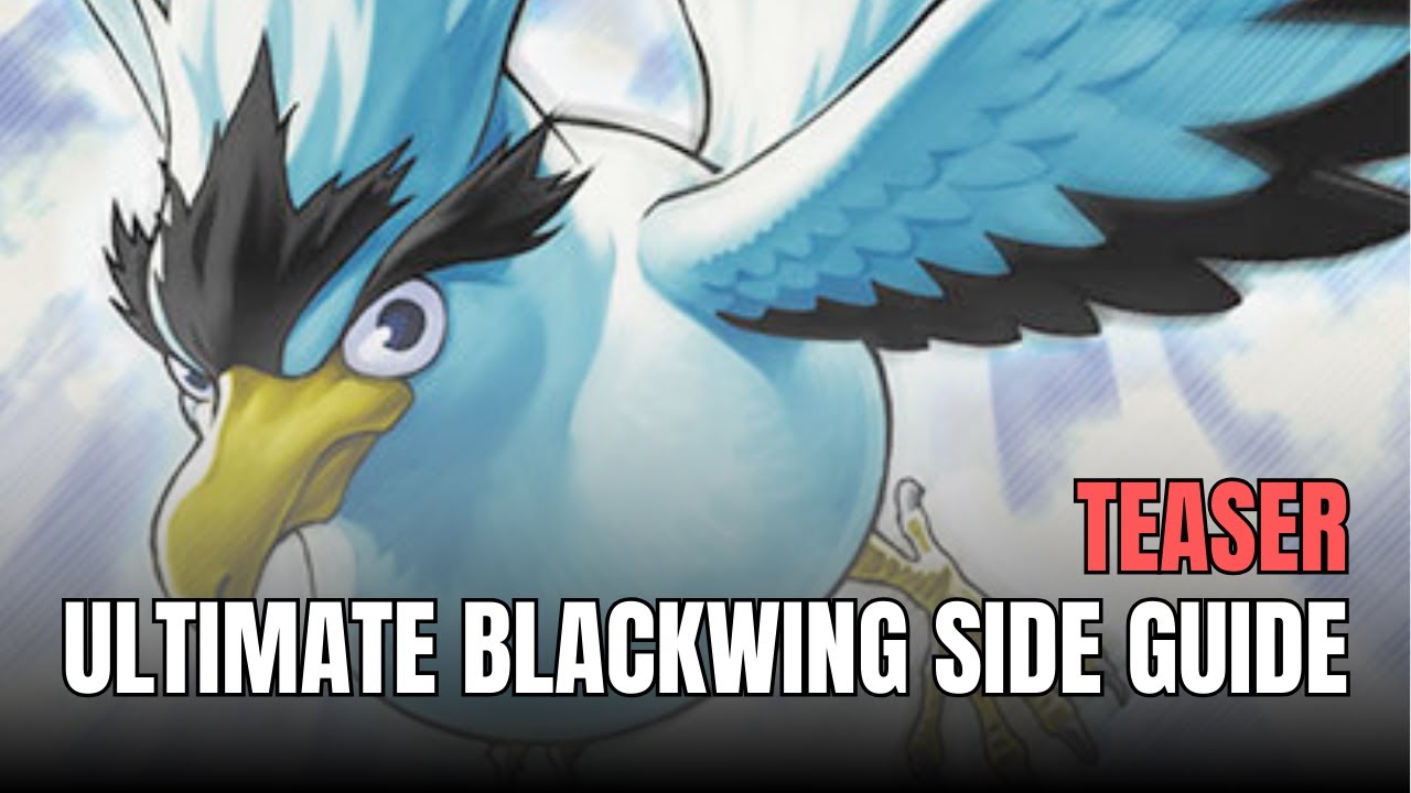 The Secret Blackwing Side Guide Is OUT - YouTube