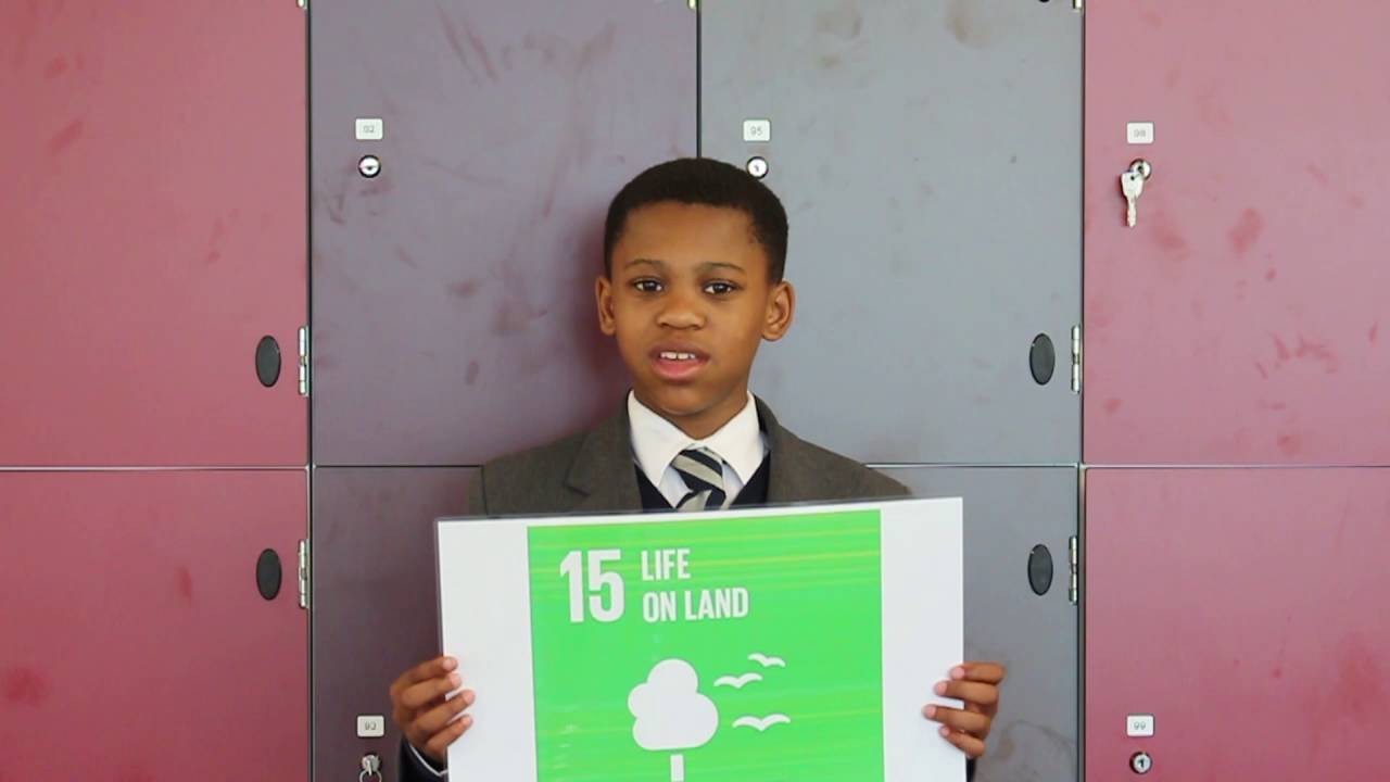 Goal 15: Life on land - YouTube