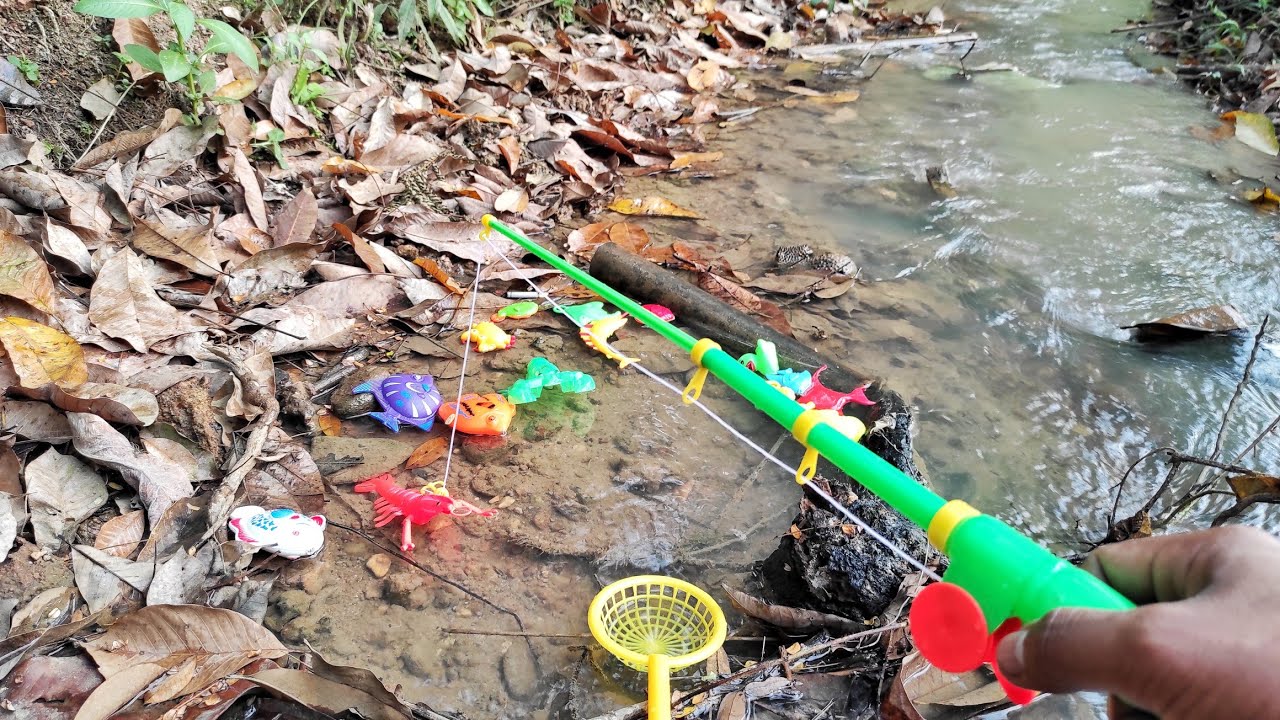 Seru, Memancing Ikan Mainan di sungai, Ikan koi, ikan nila, ikan paus ...