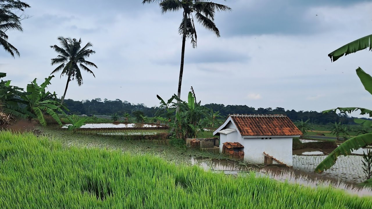 JALAN JALAN SORE NGABUBURIT PUASA KE 15 DI PESAWAHAN PANORAMANYA SANGAT ...