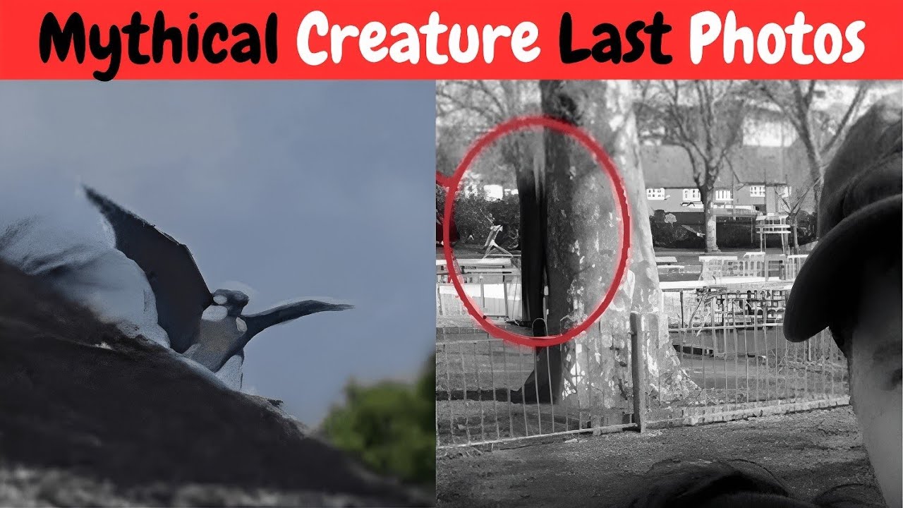 7 Last Photos Of MYTHICAL CREATURES Just Won't Go Away - YouTube