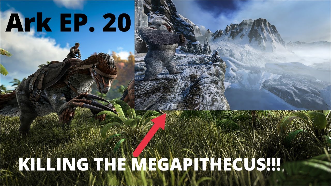 FIGHTING THE MEGAPITHECUS | Ark Lets Play EP. 20 - YouTube
