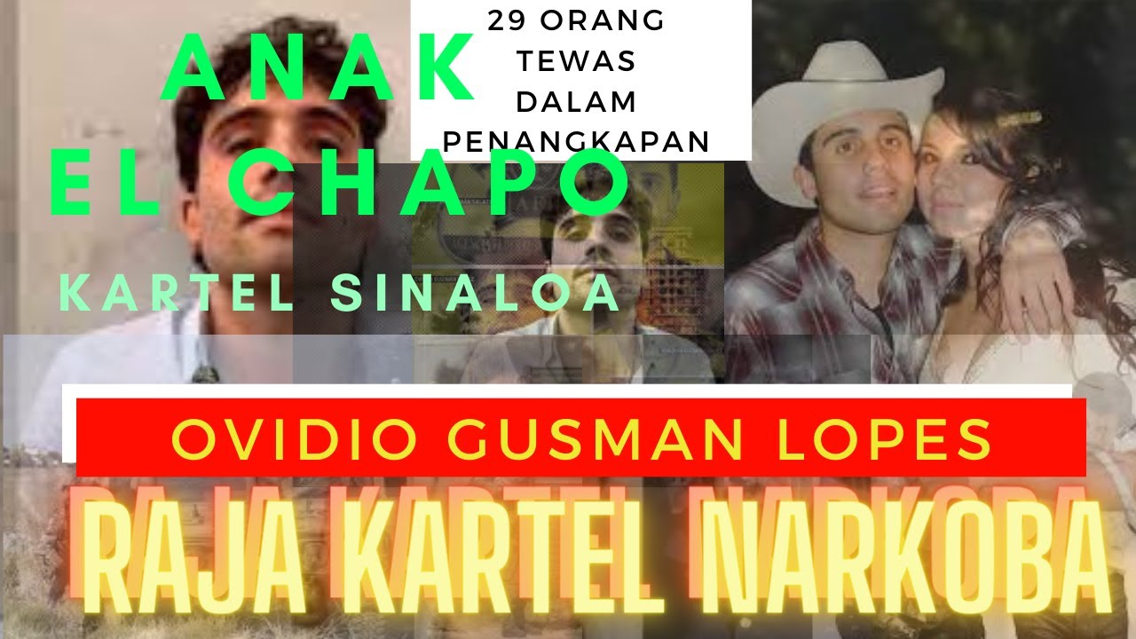 5 FAKTA ANAK EL CHAPO (OVIDIO GUSMAN "EL-RATON" ) #profile #sinaloa # ...