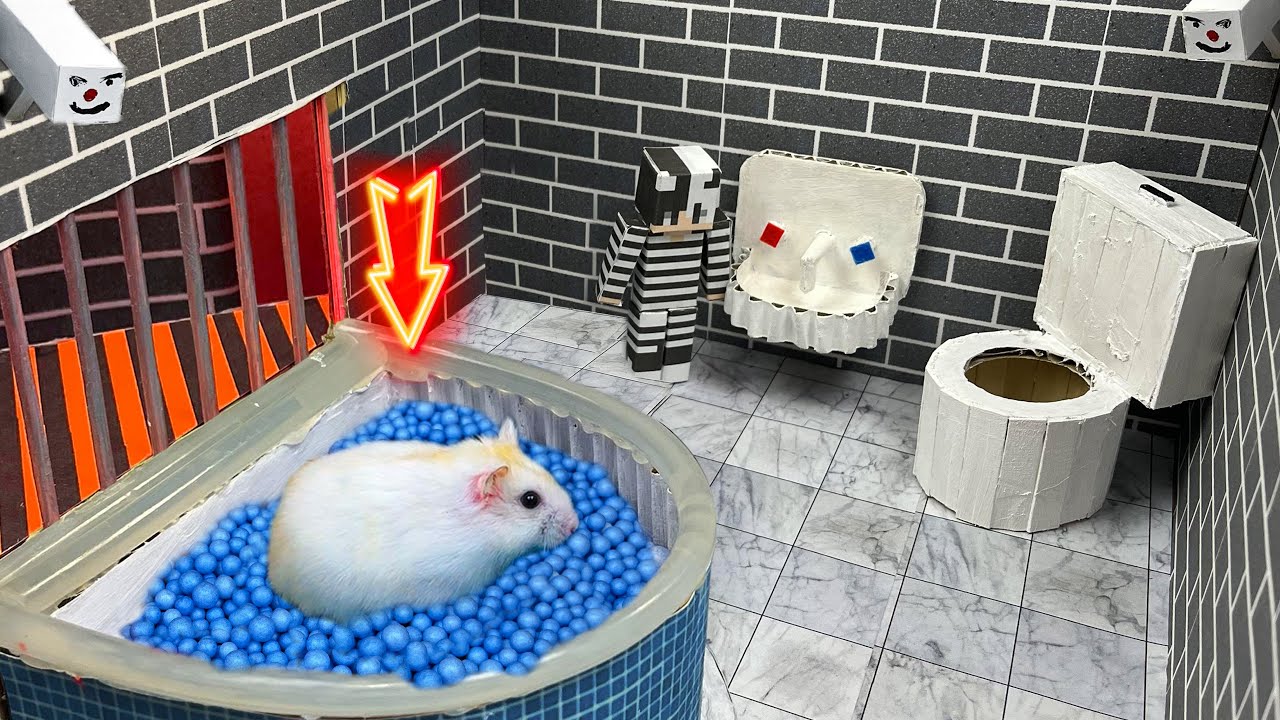 Hamster Sophie #24 🐹 Hamster Escapes the Awesome 5-Star Luxury Prison ...