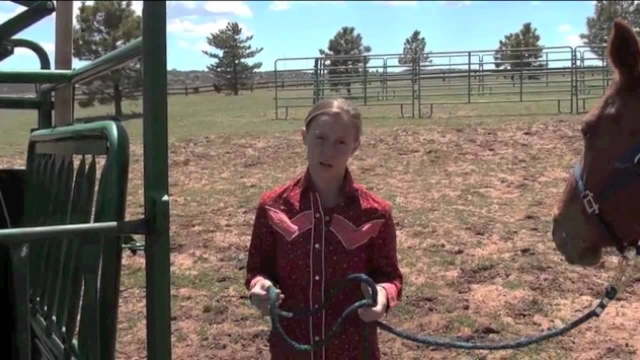 Bridling and Saddling a Horse - Preview - YouTube