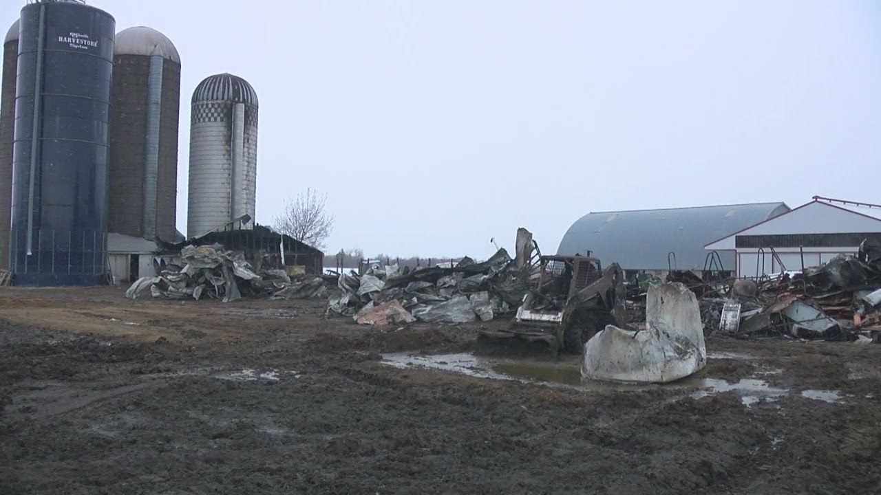 Officers Help Evacuate Cows From Wisconsin Barn Fire - YouTube