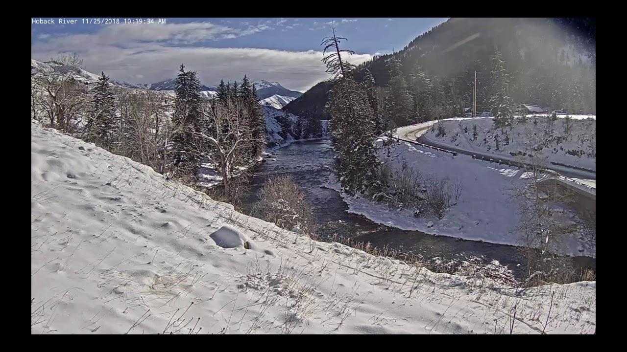 Mule Deer Buck at Hoback River WebCam - Jackson Wyoming - YouTube