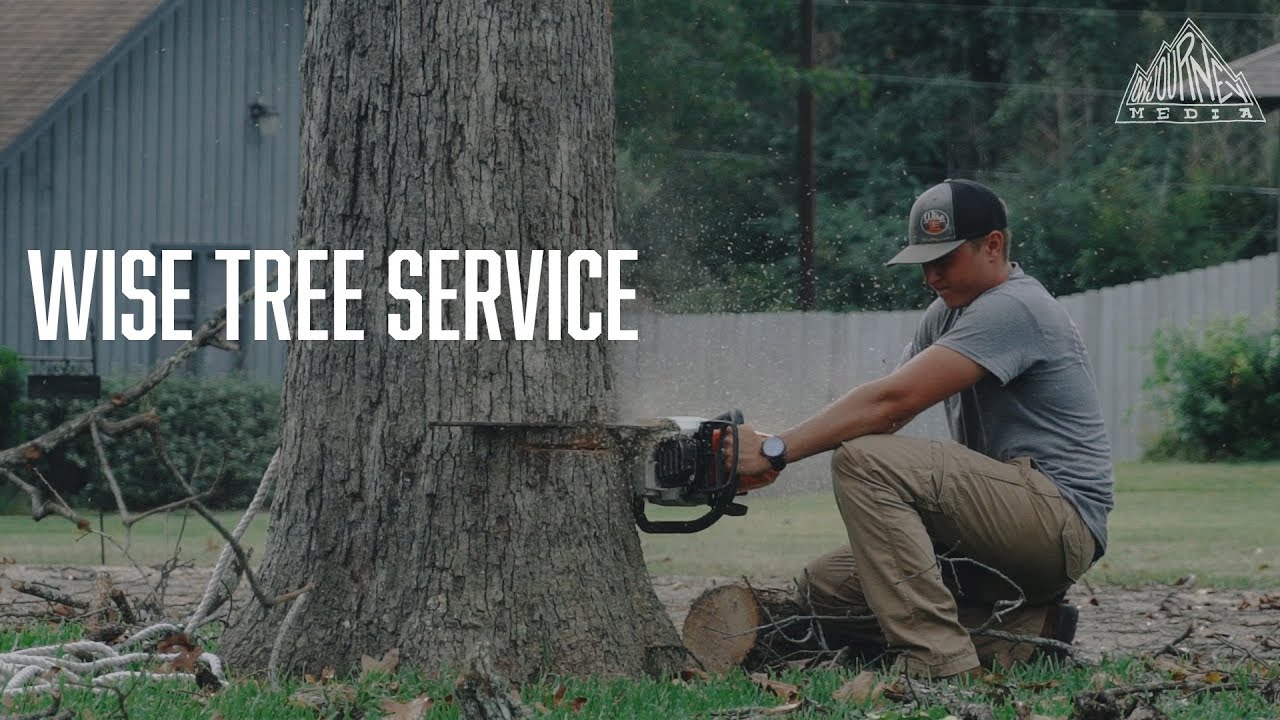 Wise Tree Service - YouTube