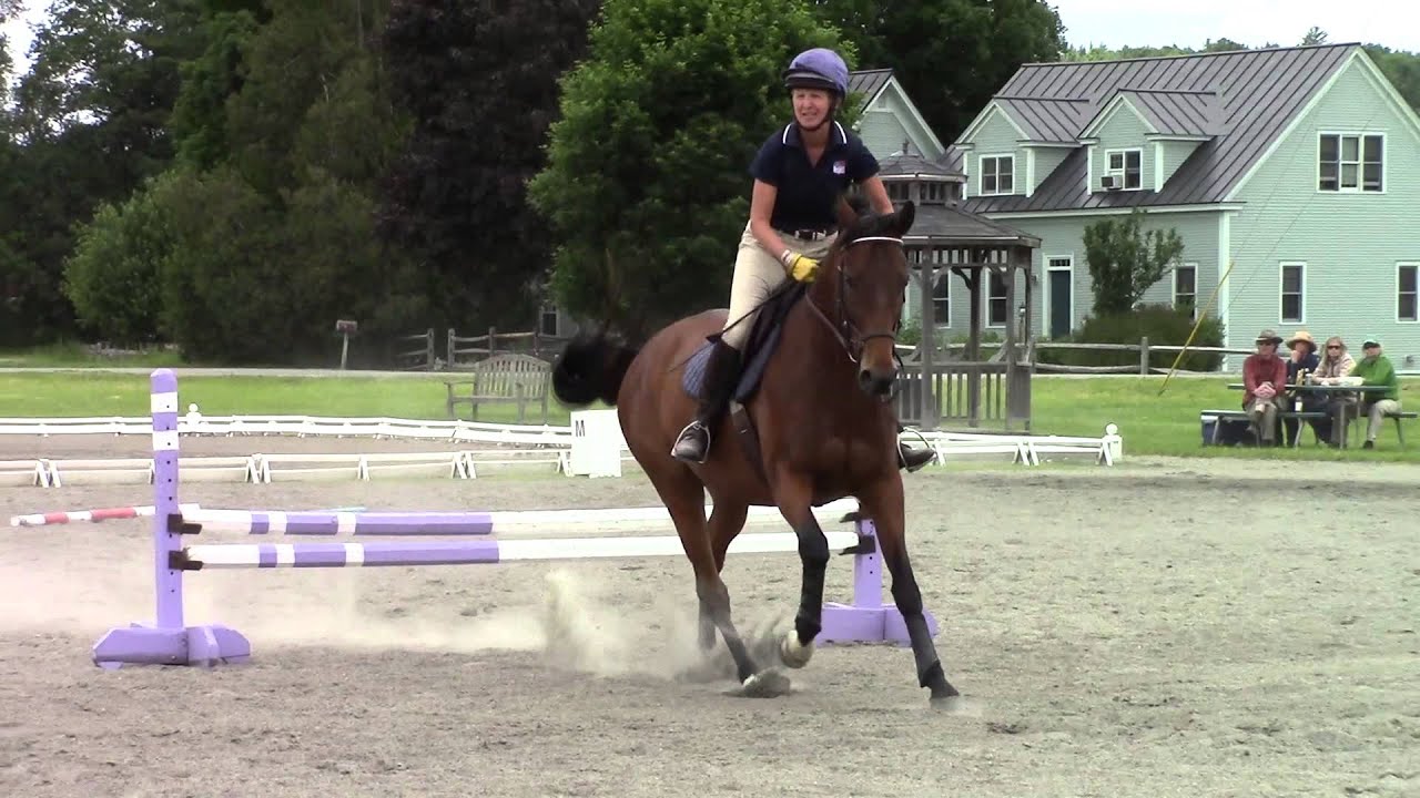 Jane Hamlin - Buck Davidson Clinic - June 21, 2014 - YouTube