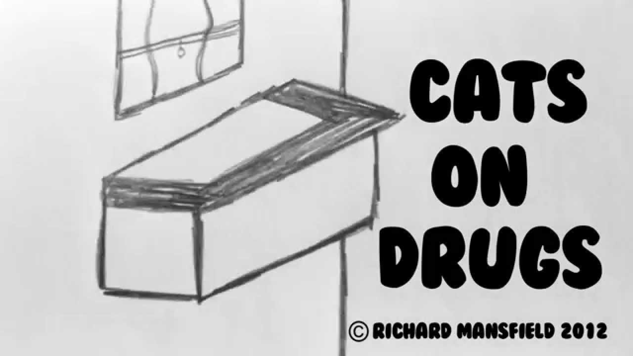 Cats on Drugs a silly cartoon - YouTube
