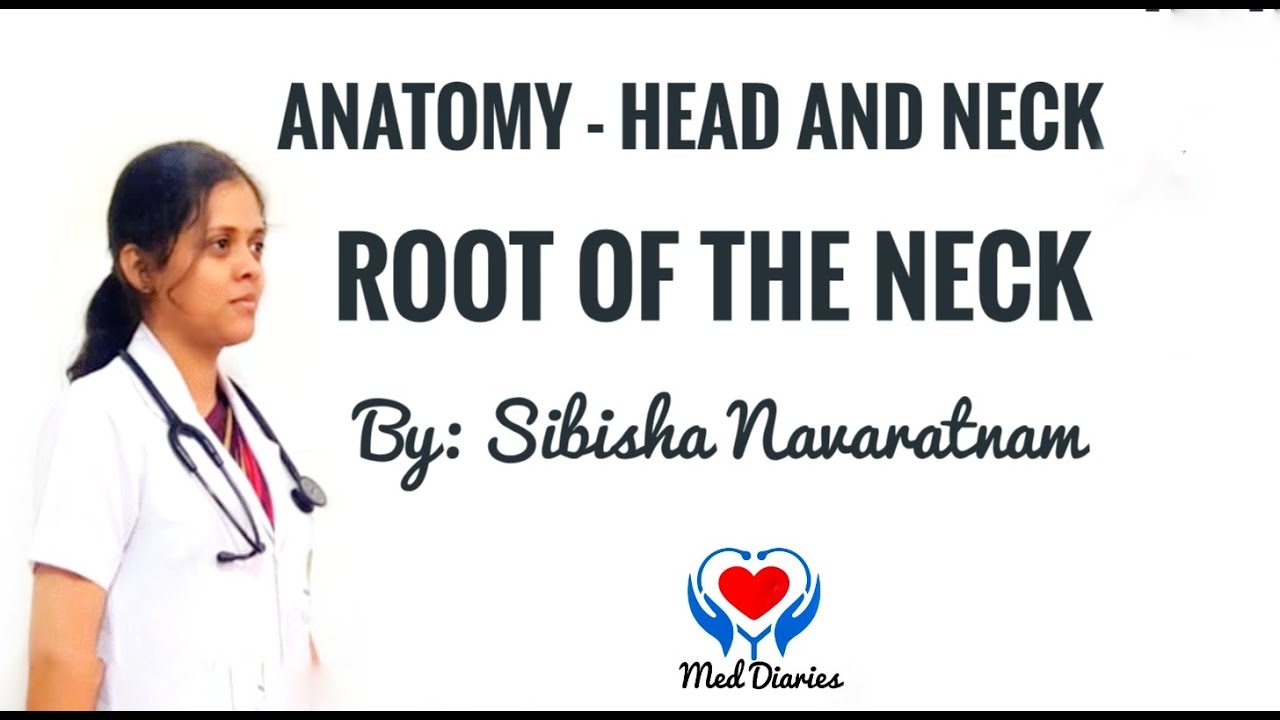 Anatomy Head and Neck | Root of the Neck | Q&A - YouTube