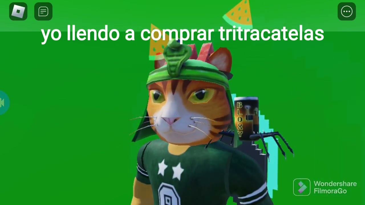 michi enojado😡 - YouTube