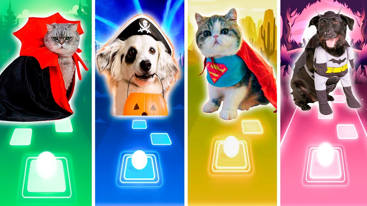 Cute Cats vs Dogs - Wednesday Dance - Coldplay X BTS - Tiles Hop EDM ...