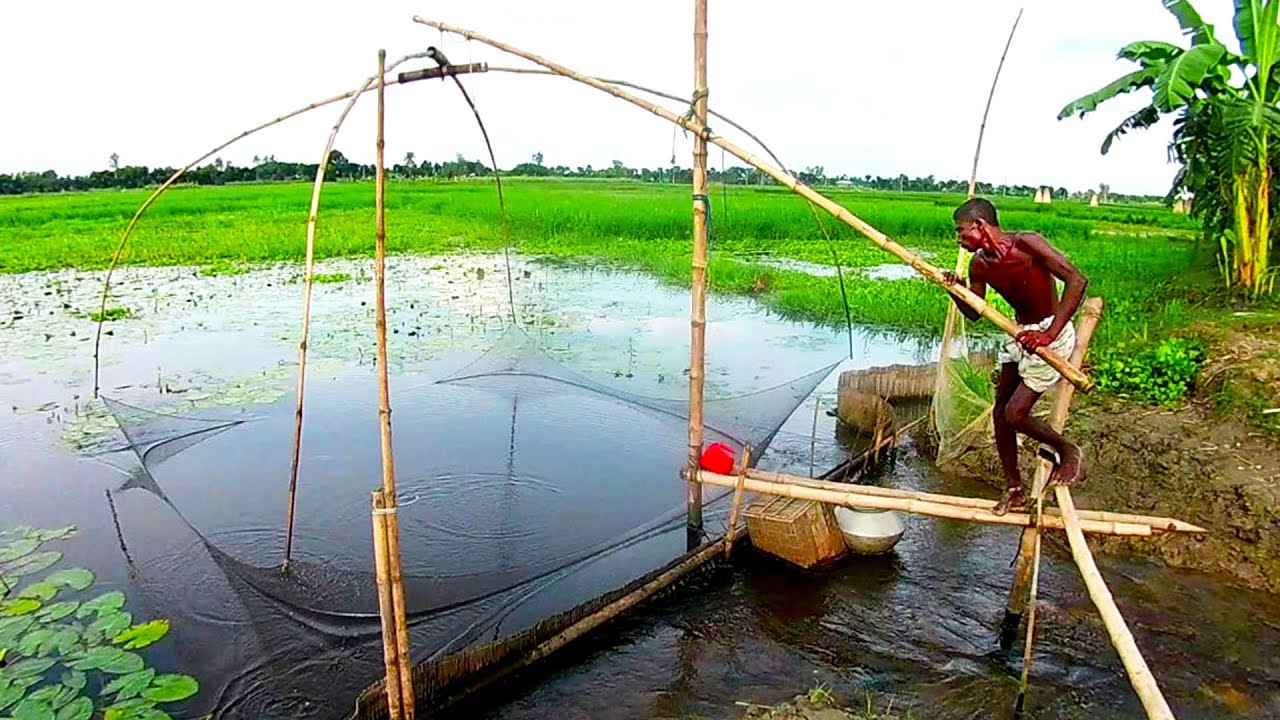 Traditional fishing system in flood | Best village fishing video | Best ...