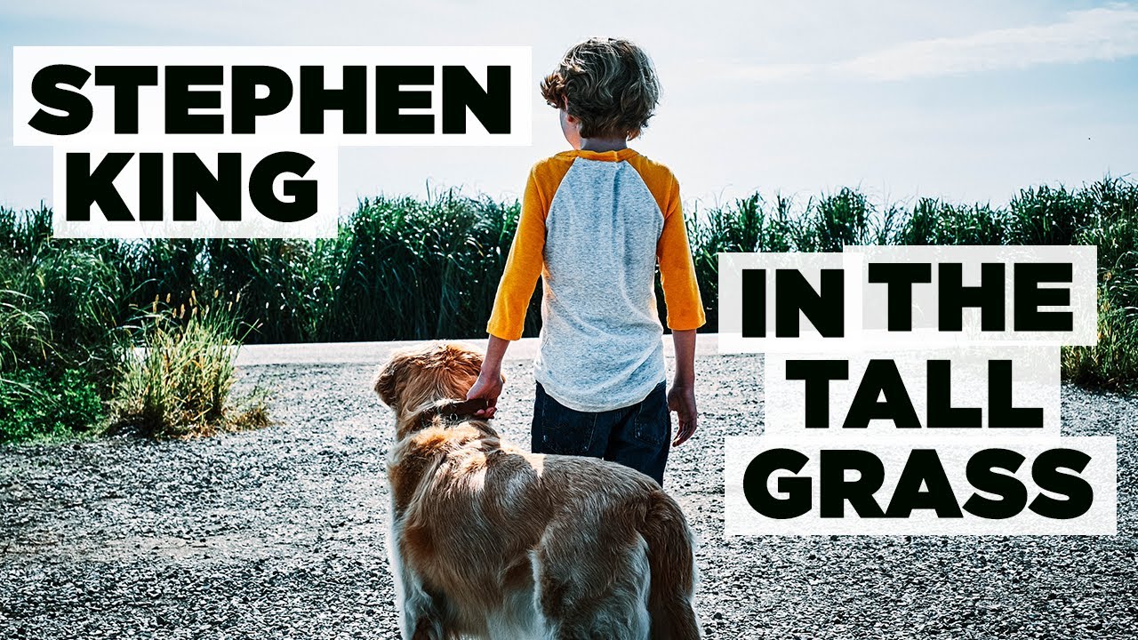 Horrorfilme 2021 Netflix | Im hohen Gras | Stephen King Verfilmung ...