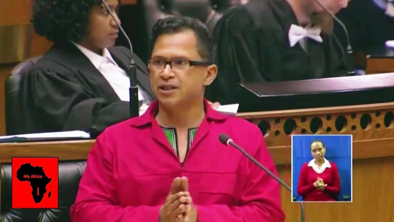 EFF Nazier Paulsen - The Nice Guy In Parliament - YouTube