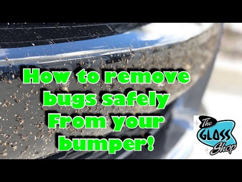 DIY bug removal for cars, safe bug removal featuring The gloss shop ...