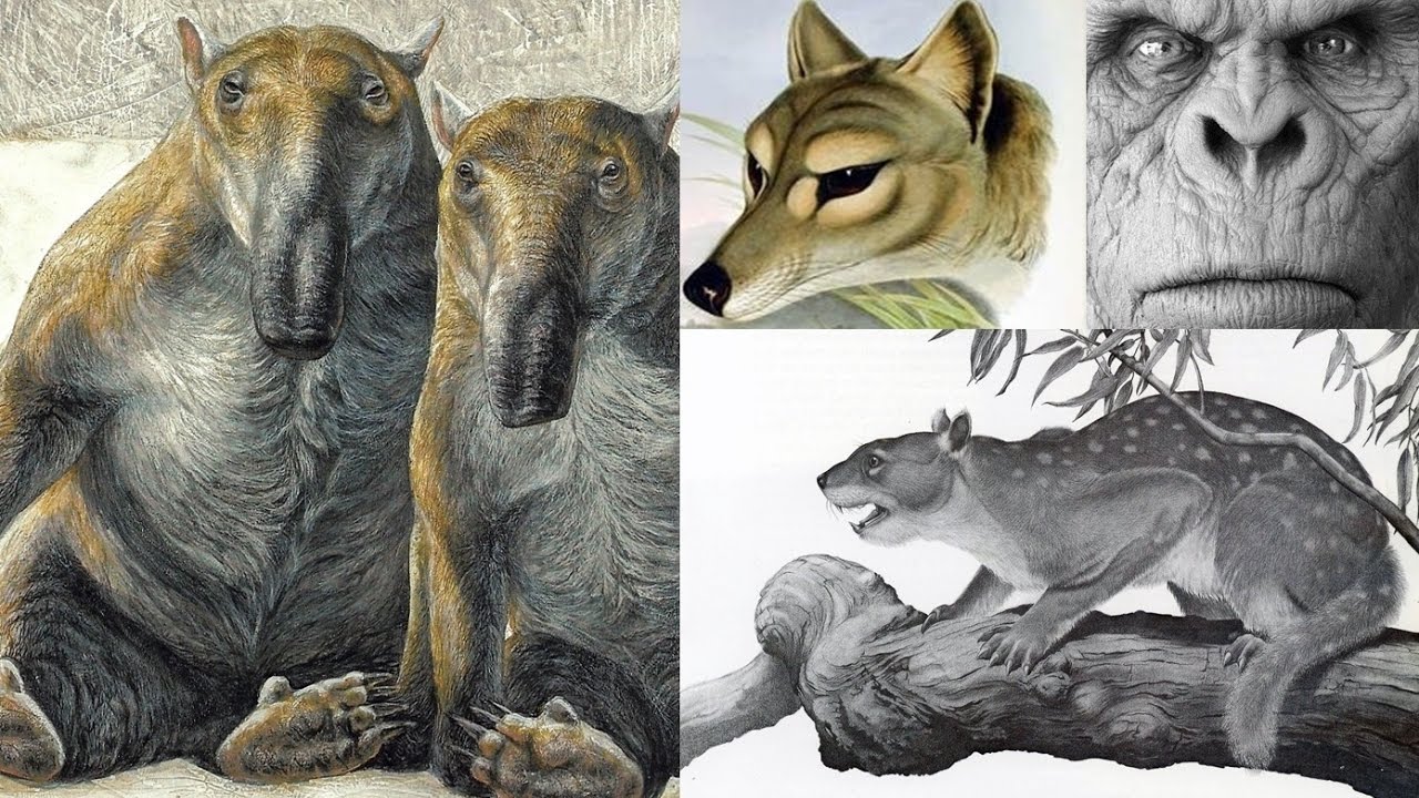 Cryptozoology of Australia & New Guinea - Gary Opit - YouTube