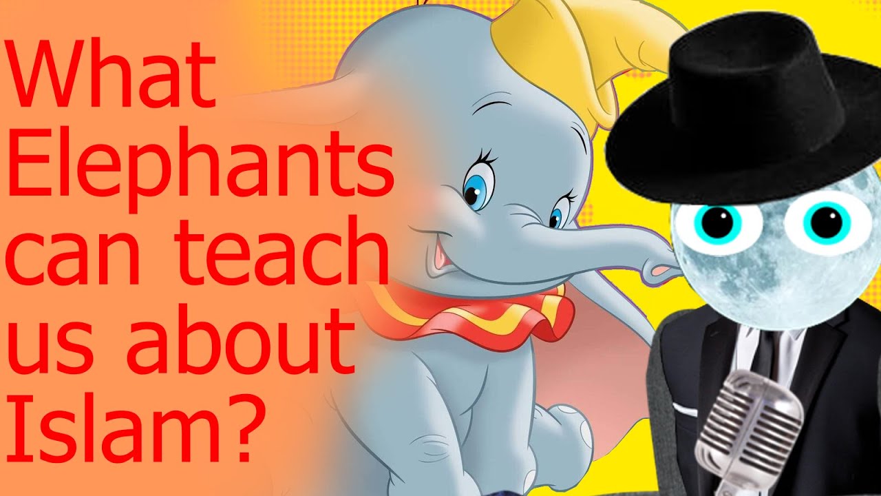 Islam, Temptation, Elephants [Islamic Reflections on Elephants] - YouTube