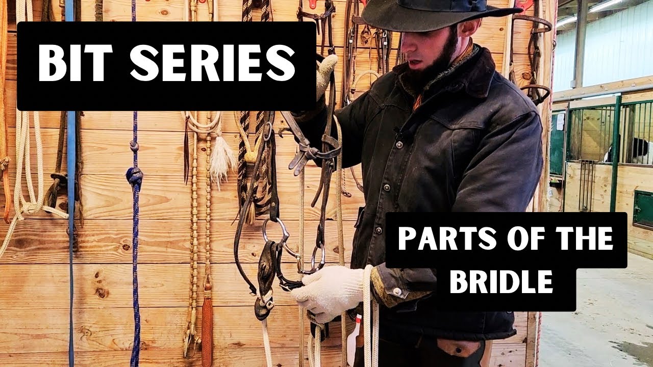 Parts of The Bridle - YouTube