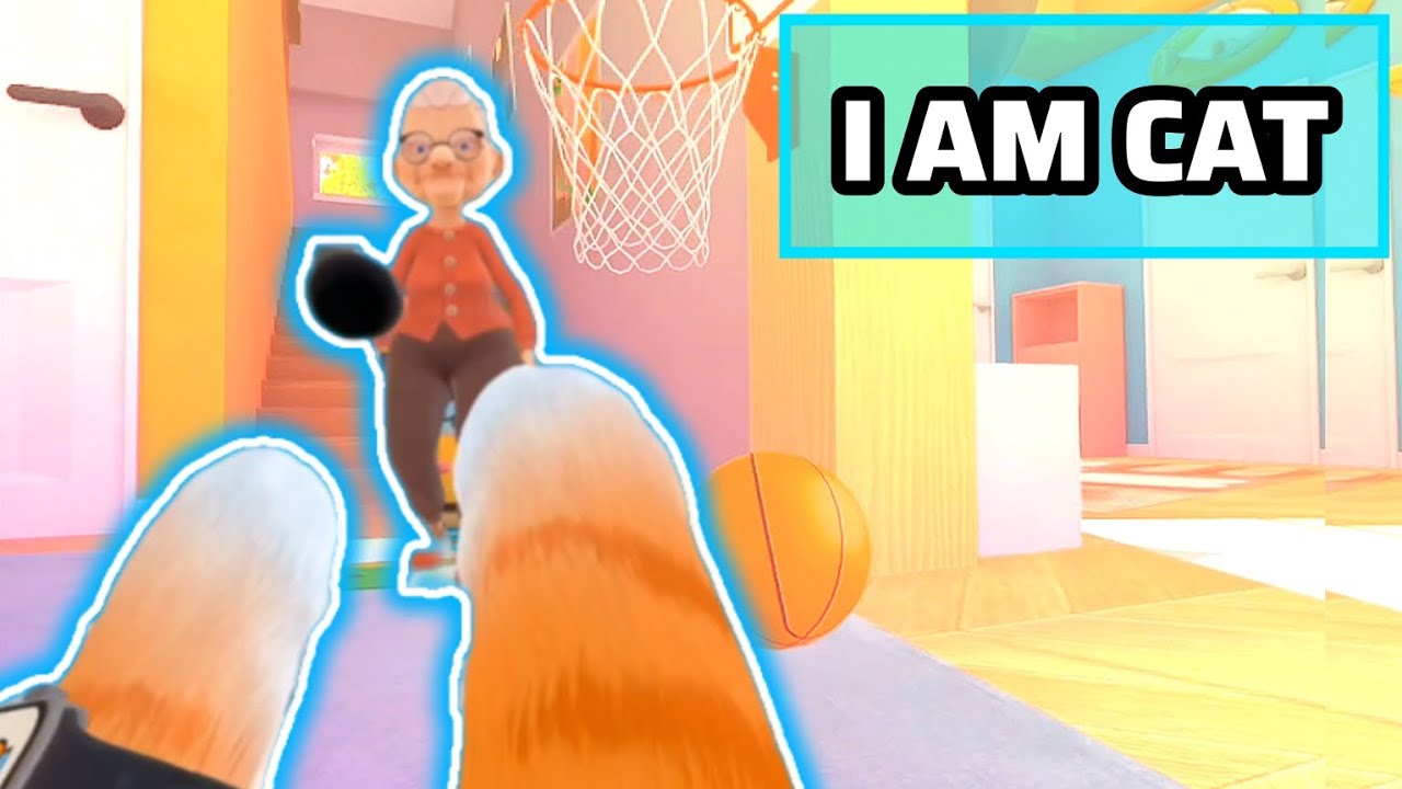 I Am Cat VR Stevie The Catage - YouTube