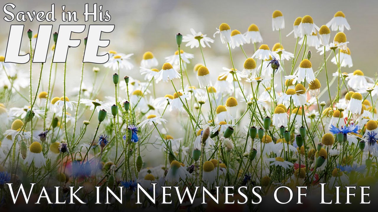 Walk in Newness of Life - YouTube