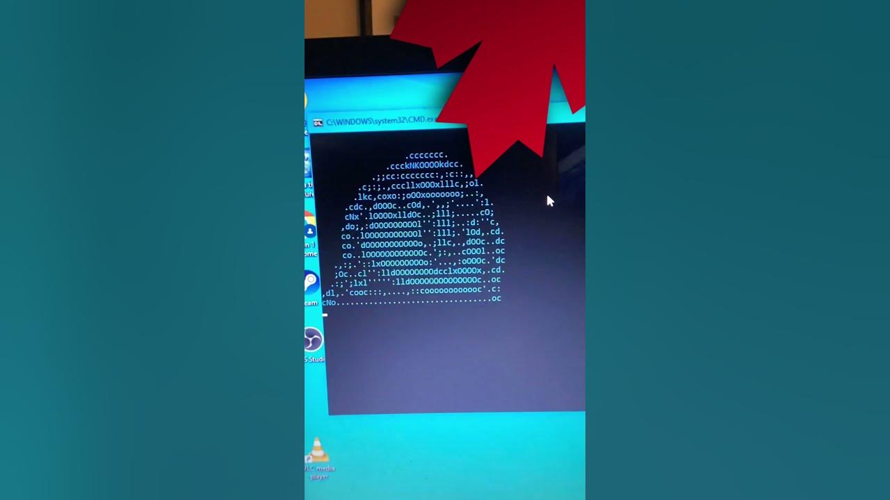 Dancing Parrot Cmd Youtube
