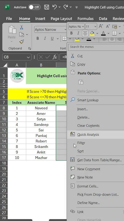 Highlighting Cells Using Custom Format in Excel - YouTube
