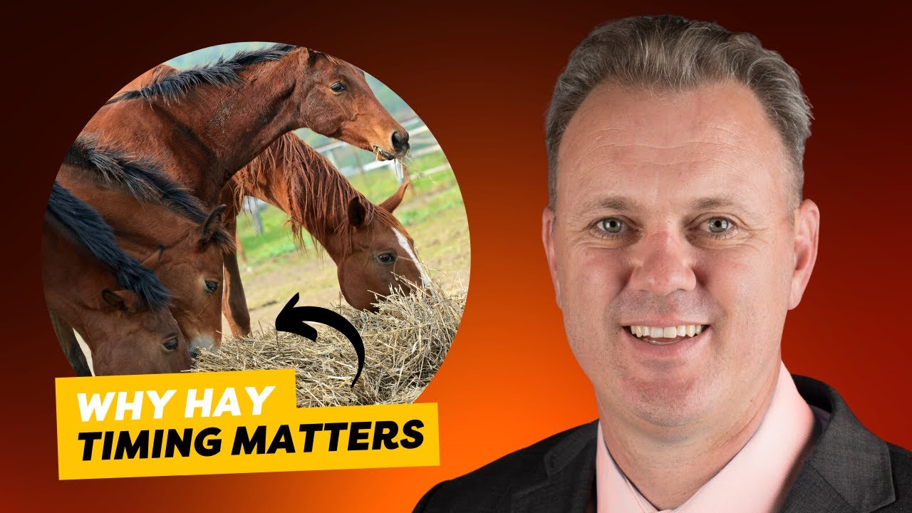 Dr. Ben Sykes: Stress & Glandular Disease - YouTube