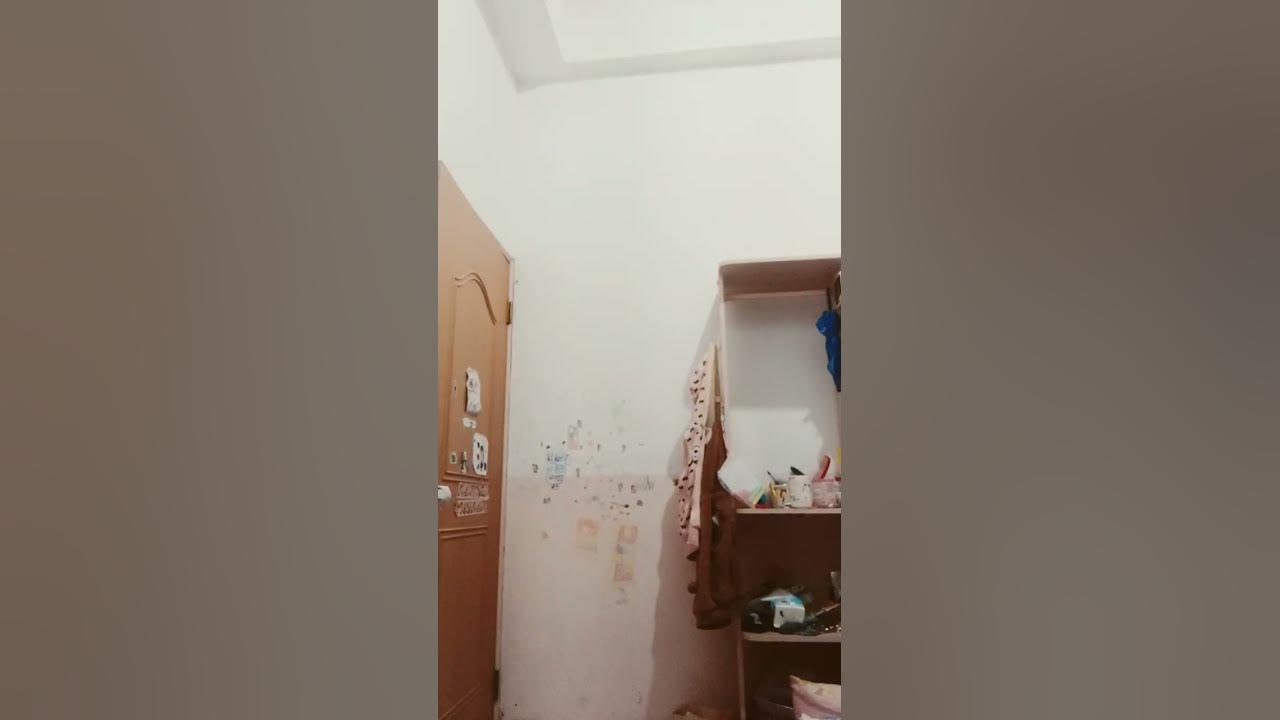 2024年12月9日 - YouTube