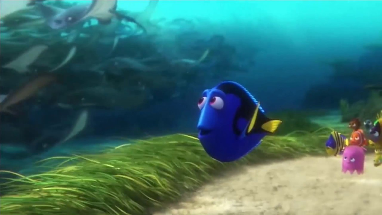Migración De Las Rayas - Buscando A Dory - Español Latino. - YouTube