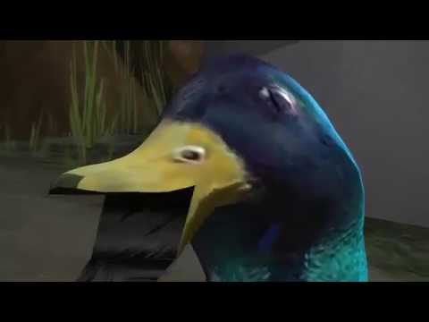 10 hours of Duck.exe has stopped working - YouTube