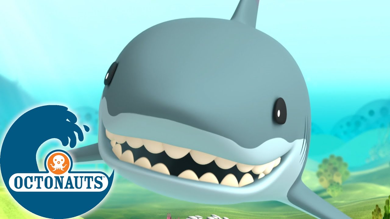 Dessins Animés De Requins