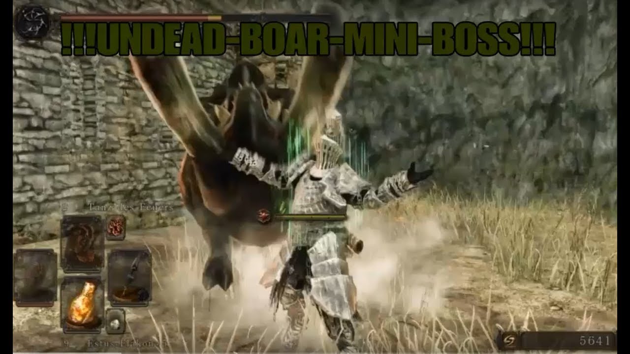 !!!SUPER SECRET BOAR-BOSS!!!|Dark Souls 2 - YouTube