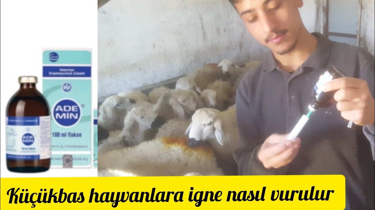 Ademin Nedir? / Ne İçin Kullanılır? / Nasıl Uygulanılır? - YouTube