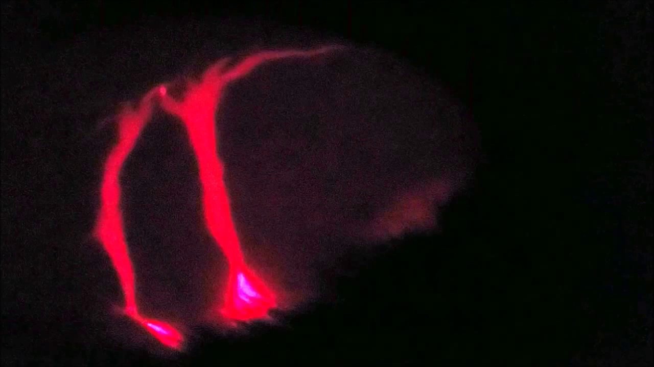 Static Discharges Inside a Light Bulb - YouTube