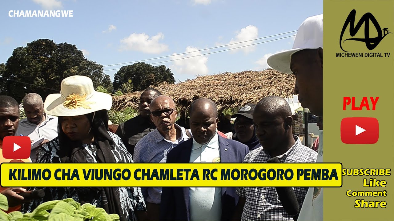 Kilimo cha Viungo chamleta RC Morogoro Pemba - YouTube