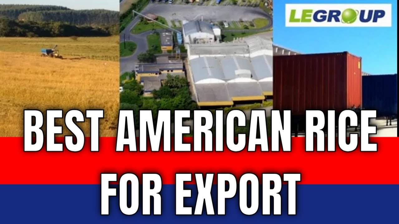 Best Rice: Best Price [Best Option for American Rice Supply] - YouTube