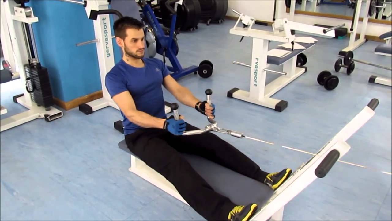 Remo polea sentado cerrado (neutra) - YouTube