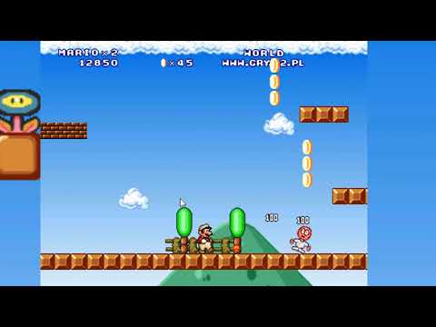 Mario Forever 2050- Human Laboratory Walkthrough