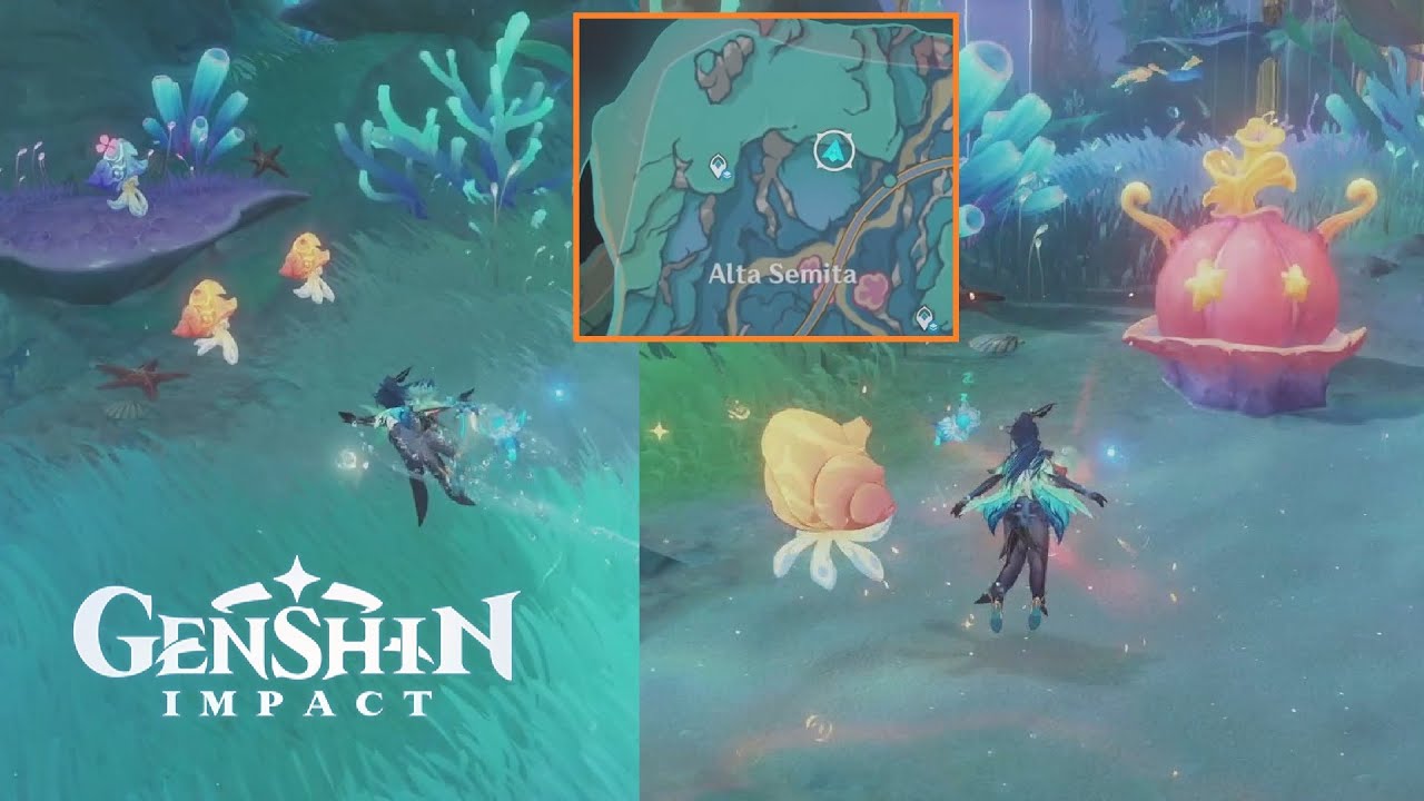 Desafío Tornilloctópodo Flor Musical Alta Semita Mar de Antaño ...