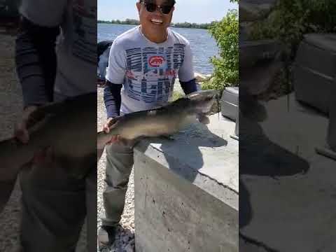 big fish caught in the sea - YouTube
