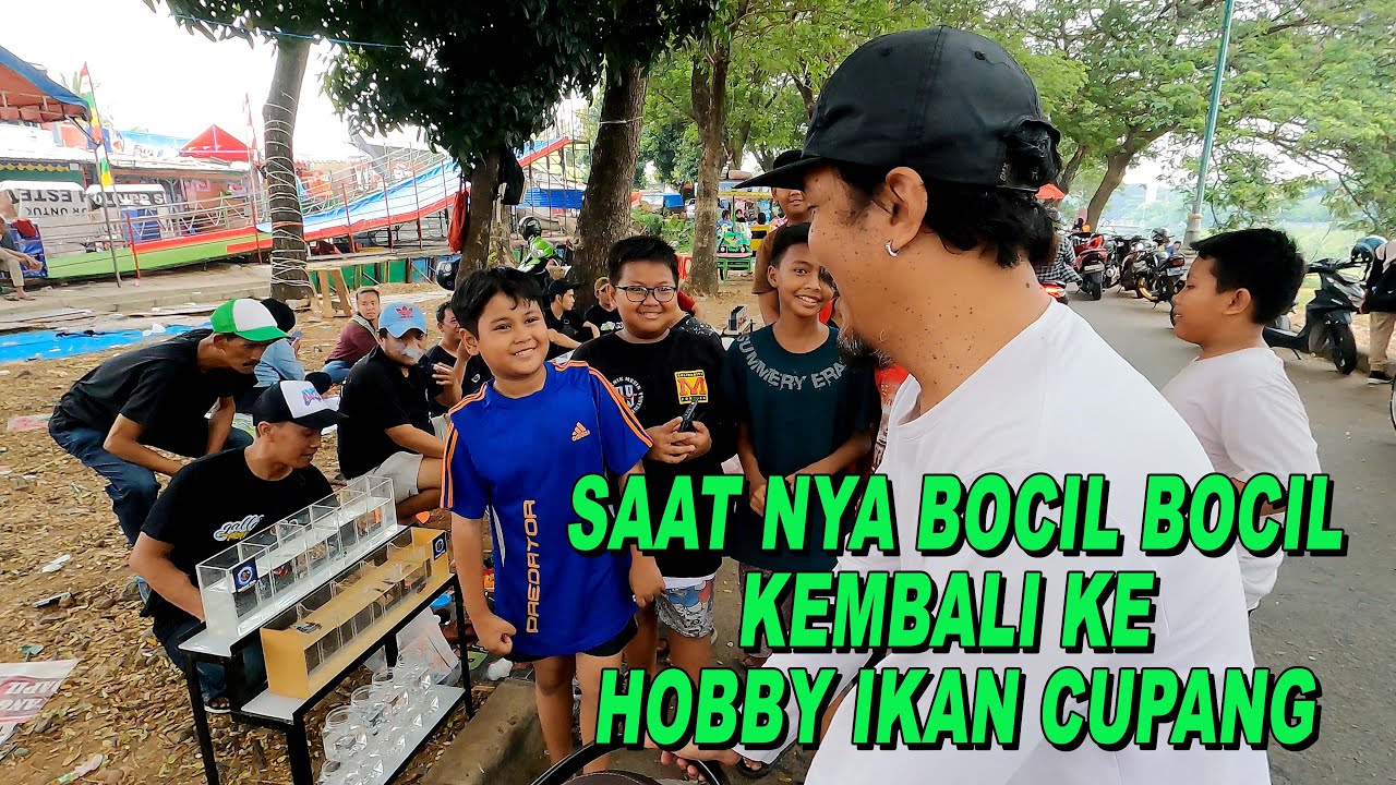 DUNIA CUPANG RAMAI KEMBALI OLEH BOCIL BOCIL - YouTube