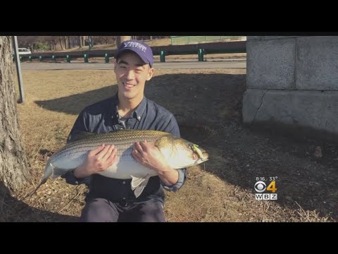 Can you fish in the Charles River?