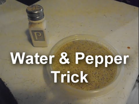 Water And Pepper Trick (Experiment) - YouTube