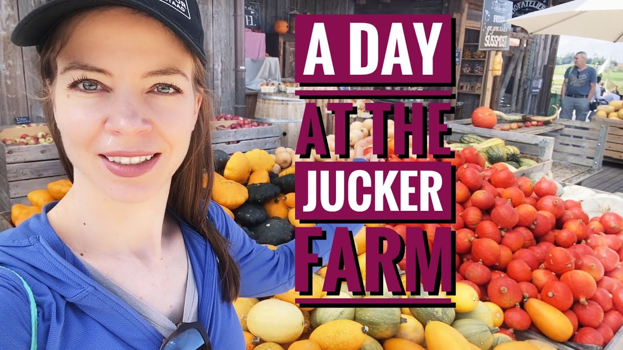 A Day at the Jucker Farm // SWITZERLAND - YouTube