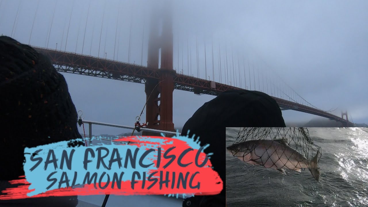 Sarai Goes Salmon Fishing Outside the Golden Gate Bridge Hoping to ...