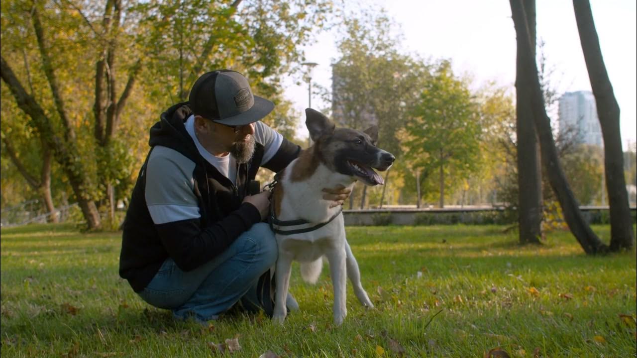 Un perro ha muerto - Pablo Neruda - YouTube