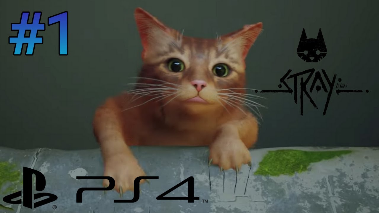 SEPARACION de la BANDA - STRAY - PS4 - GAMEPLAY COMPLETO #1 - YouTube